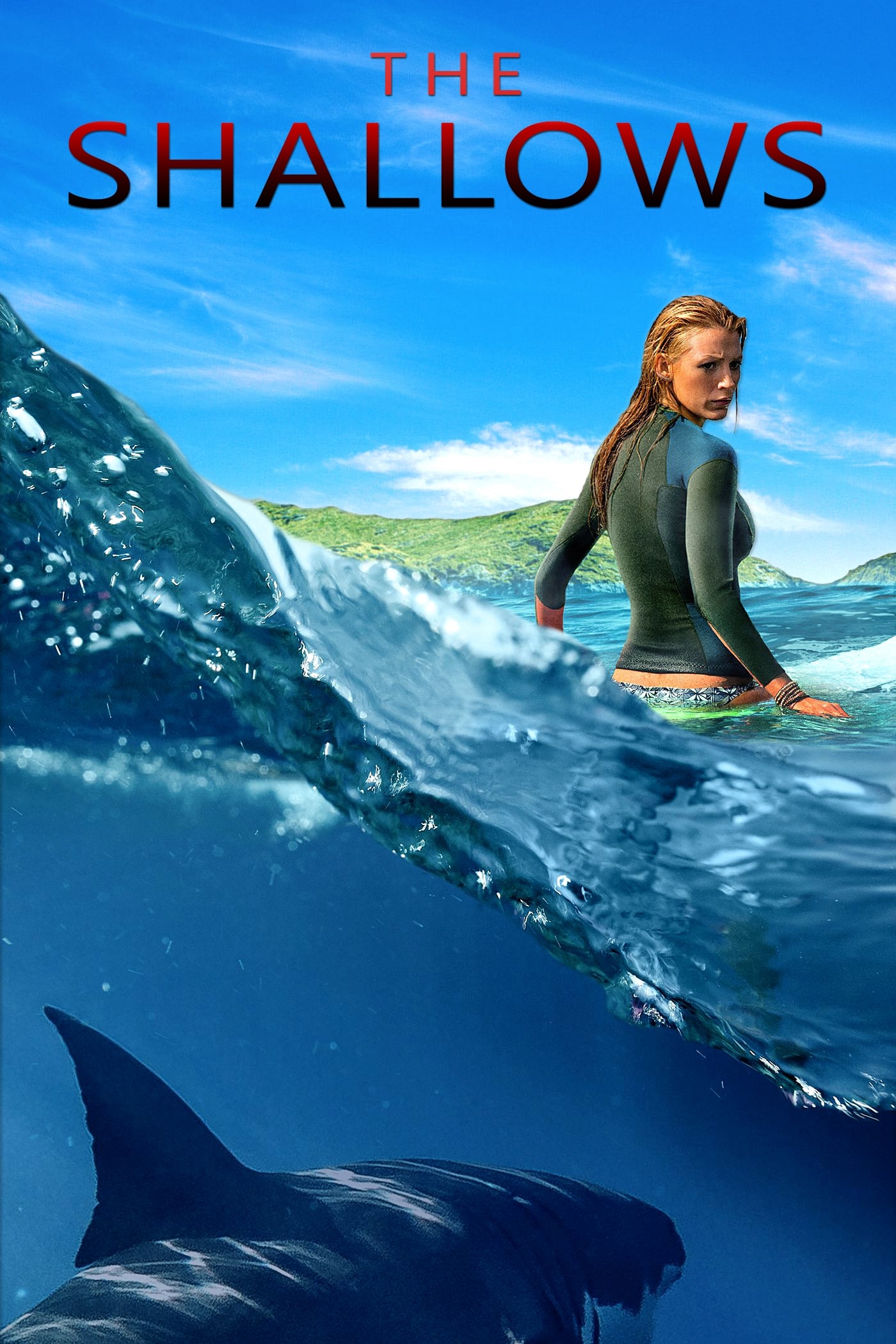 The shallows film store